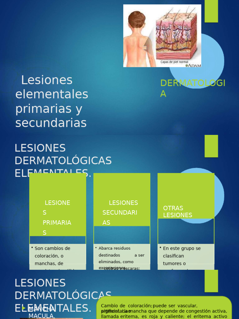 Lesiones Elementales | PDF | Piel | Epidermis