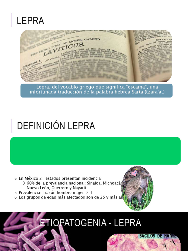 Lepra | PDF | Lepra | Enfermedades y trastornos humanos