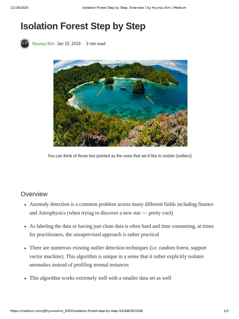 Isolation Forest Step by Step. Overview - by Hyunsu Kim - Medium | PDF ...