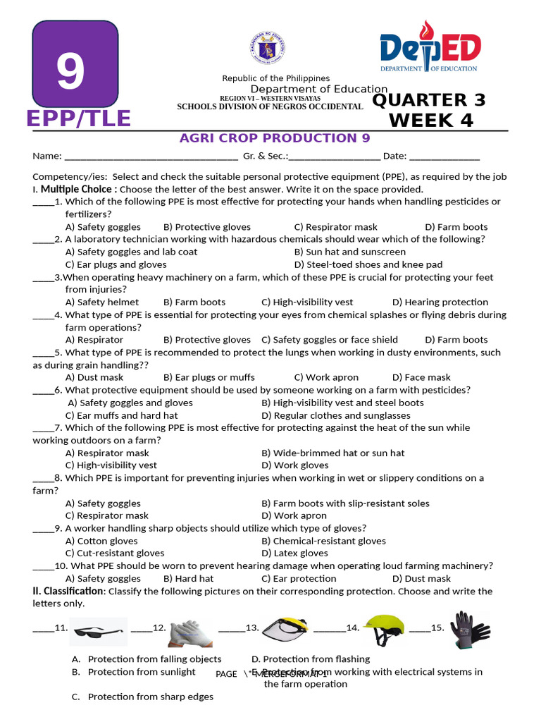 AFA_TLE AGRI CROP-GRADES 9- WEEK 4 | PDF | Personal Protective ...