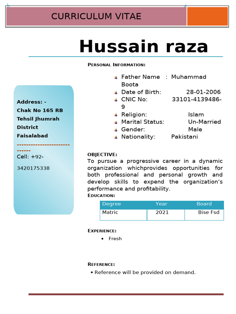 Hussain Raza | PDF