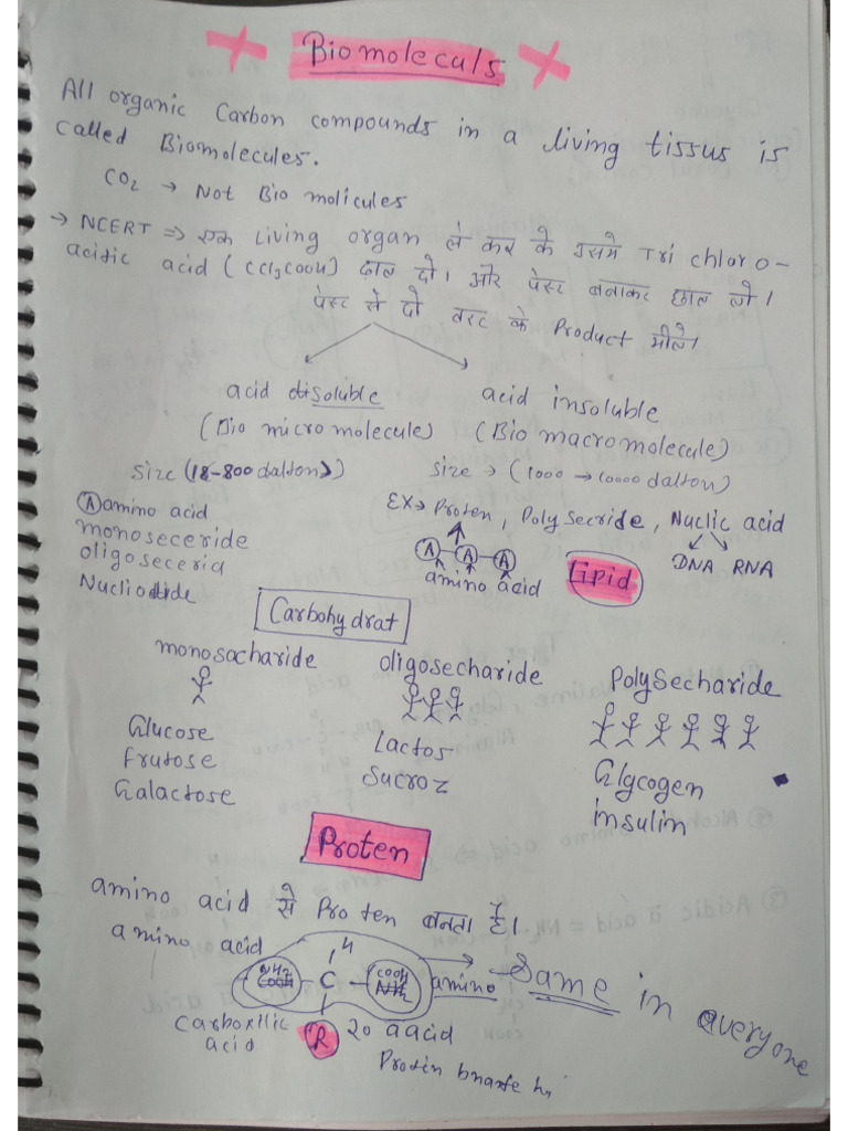Biomolecules Ritu Rattewal | PDF