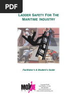 3 Points Contact | PDF | Ladder | Safety