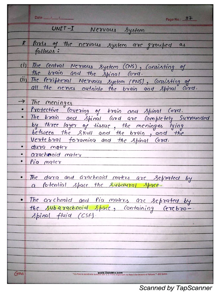 HAP 2 Unit 1 Nervous System | PDF