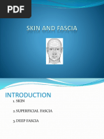 Friction Ridge Skin Morphogenesis and Overview | PDF | Epidermis | Hand