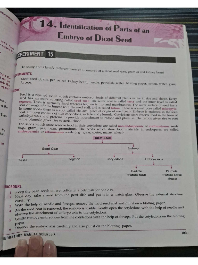 Bio 14 Identification of Parts of Embryo | PDF
