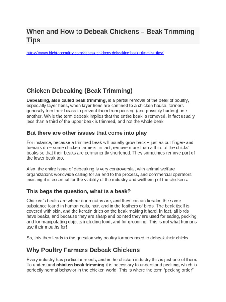 When and How To Debeak Chickens | PDF | Beak | Poultry Farming