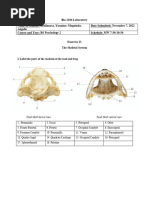 Toad External Anatomy Diagram | PDF | Vertebral Column | Vertebra