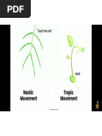 Plant Responses to Environmental Stimuli | PDF | Plants | Biology