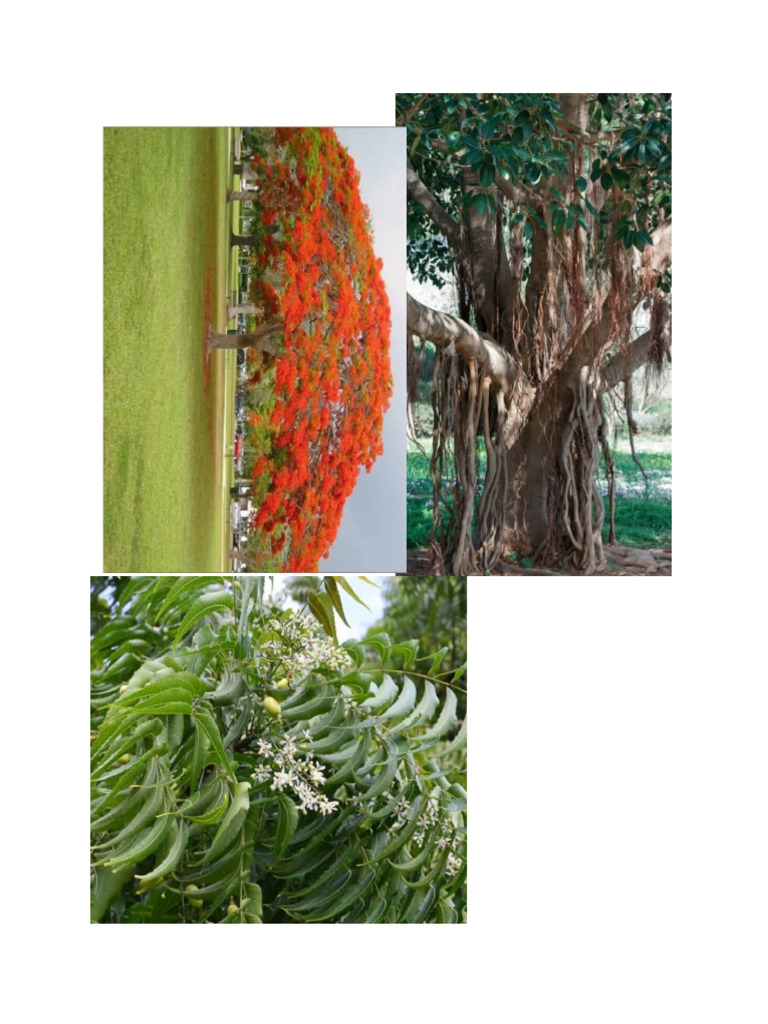 Bio Project | PDF
