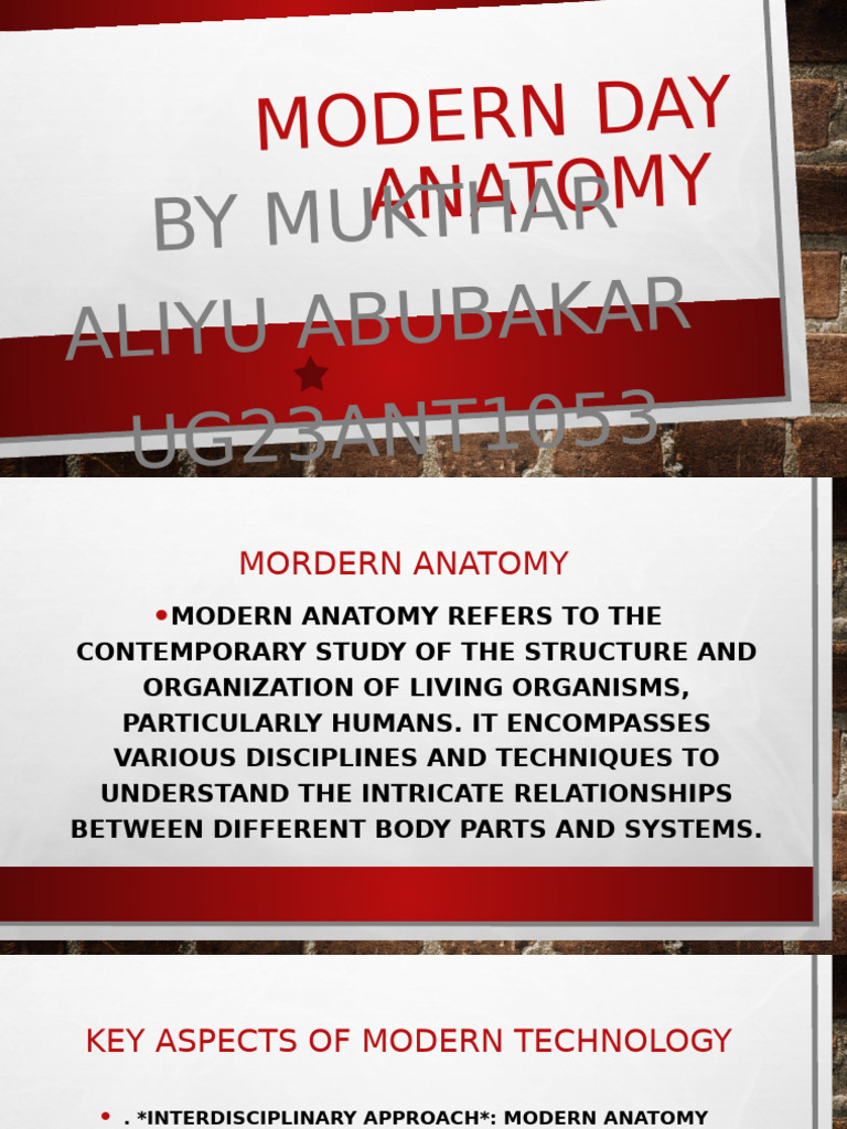 Powerpoint Anatomy | PDF | Anatomy | Medical Imaging