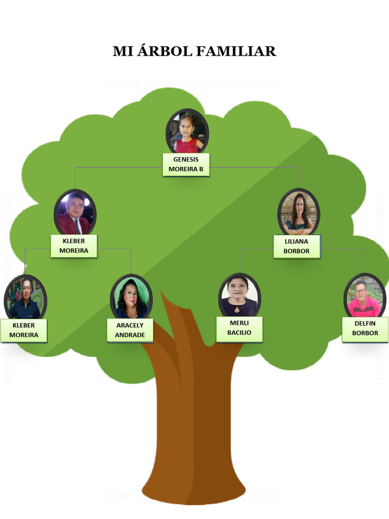 Mi Árbol Familiar Genesis | PDF