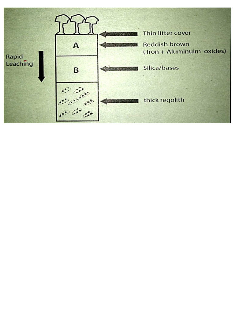 Soil Profile Question Mock | PDF