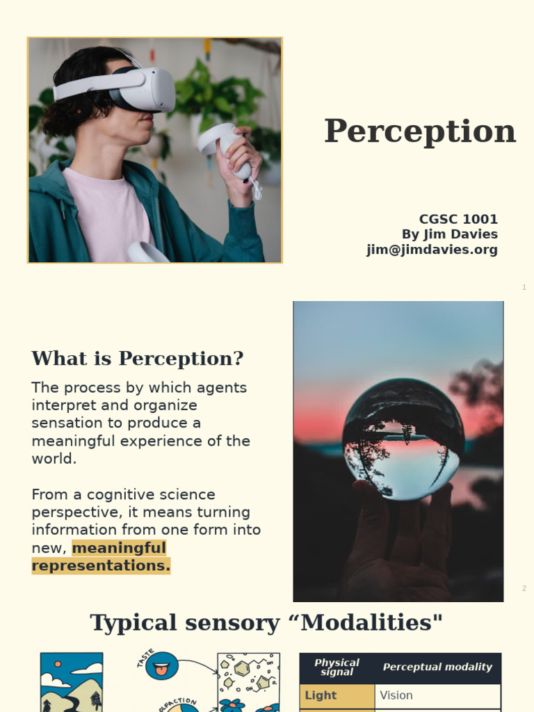Perception | PDF | Visual Perception | Senses