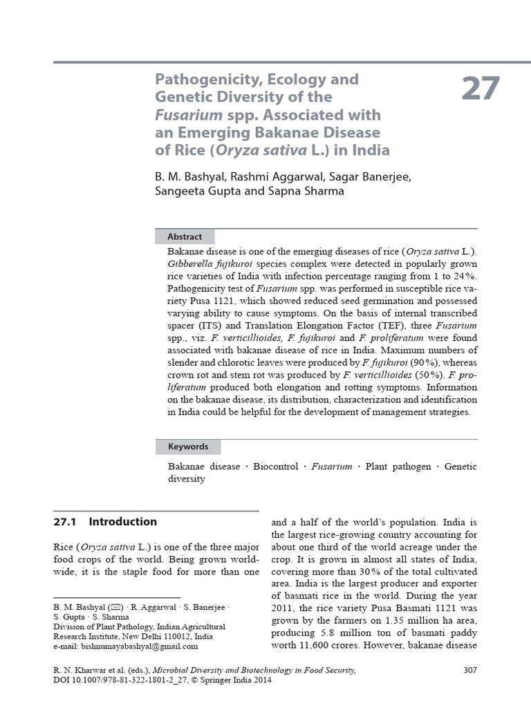 Fusarium spp. and Bakanae Disease in Rice | PDF | Rice | Infection
