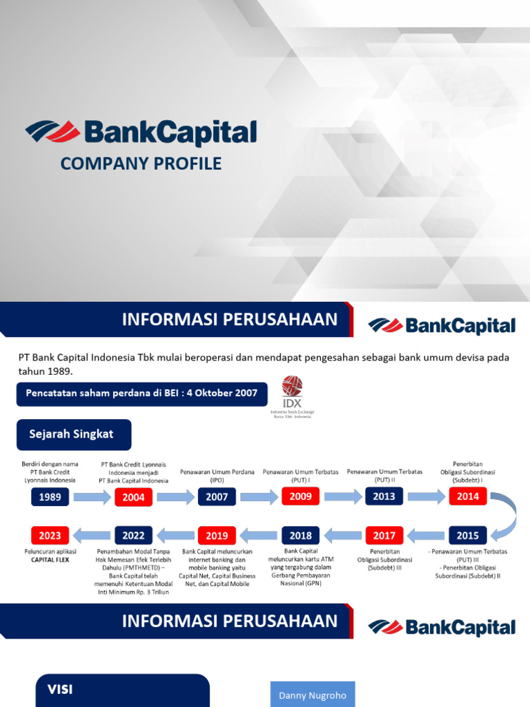 Bank Capitals Company Profile 1730259669 | PDF