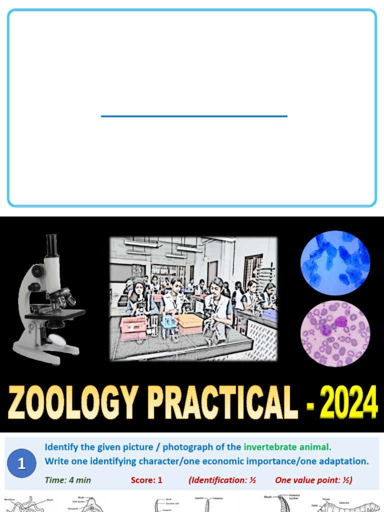 Zoology Practical Exam Guide 2024 | PDF | Muscle | Lung