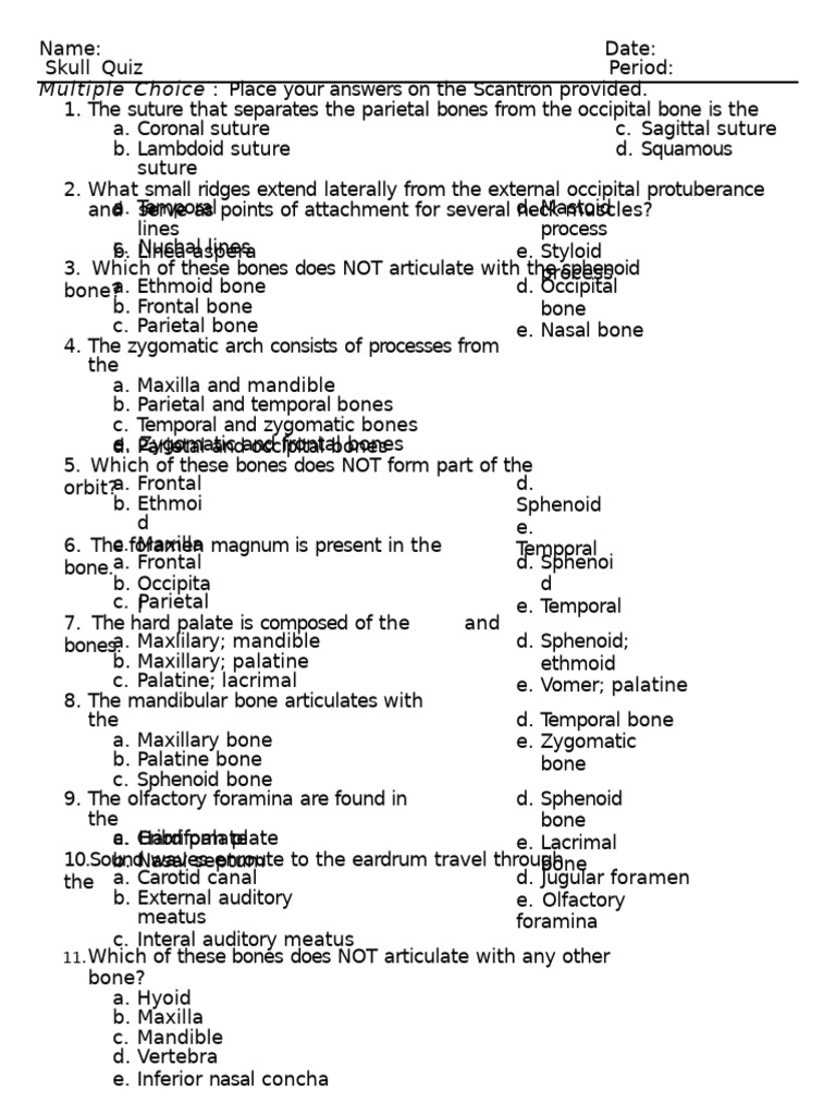Skull Quiz | PDF | Skull | Musculoskeletal System
