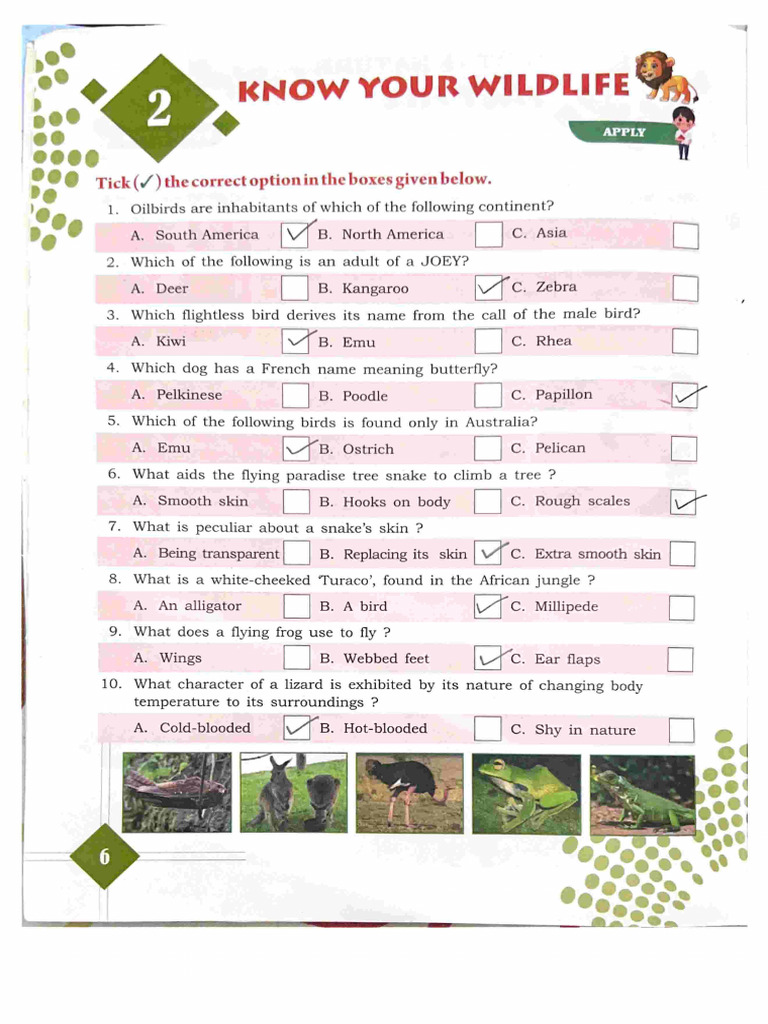 Class 7 GK | PDF