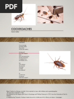Cockroaches Poem Analysis | PDF | Poetry | Psychology
