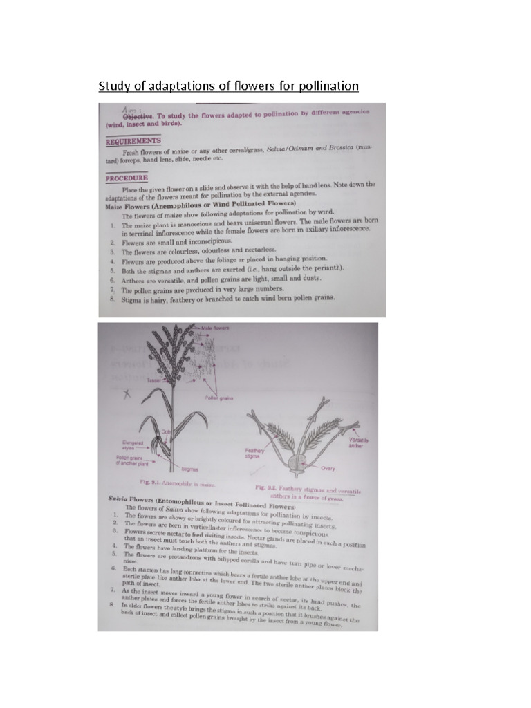 5. Study of adaptation of flowers for pollination | PDF