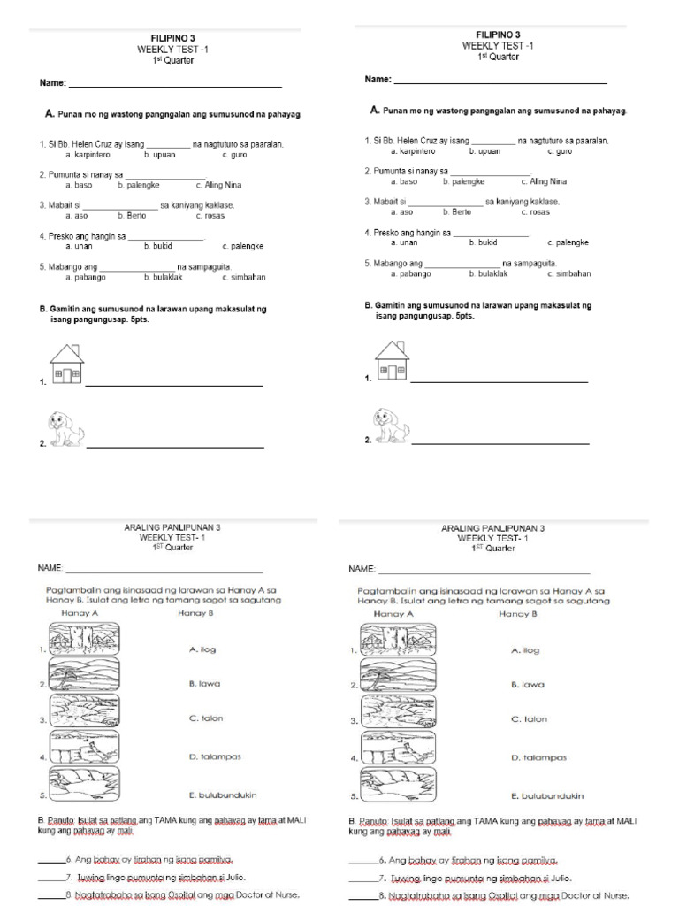1st Quarter Weekly Test | PDF