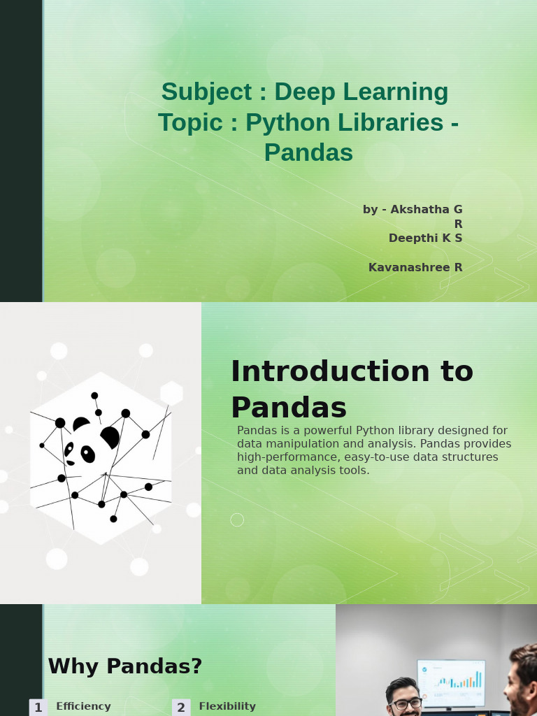 pandas | PDF | Data | Microsoft Excel