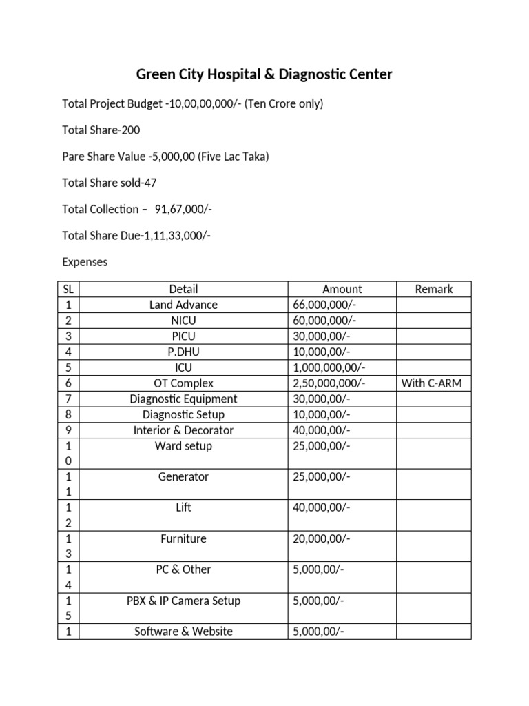 Green City Hospital Projct Budget | PDF