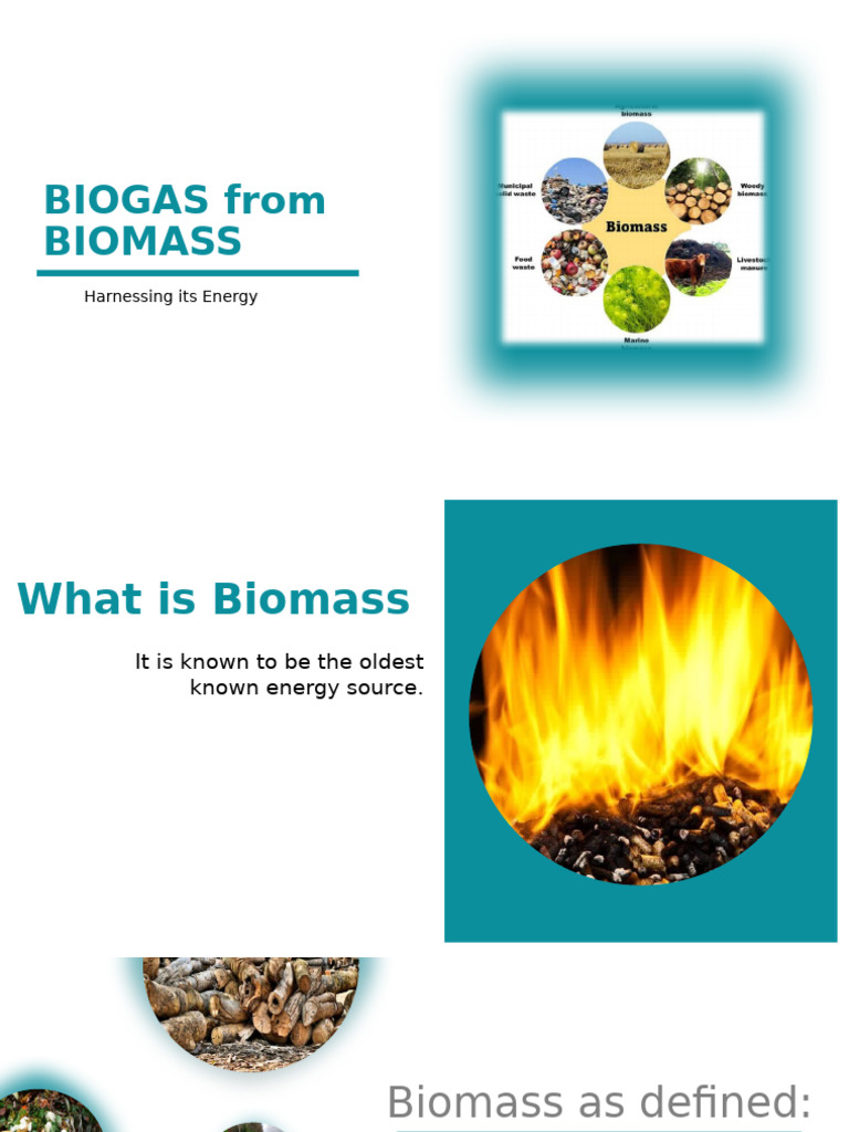 Biogas From Biomass Report | PDF