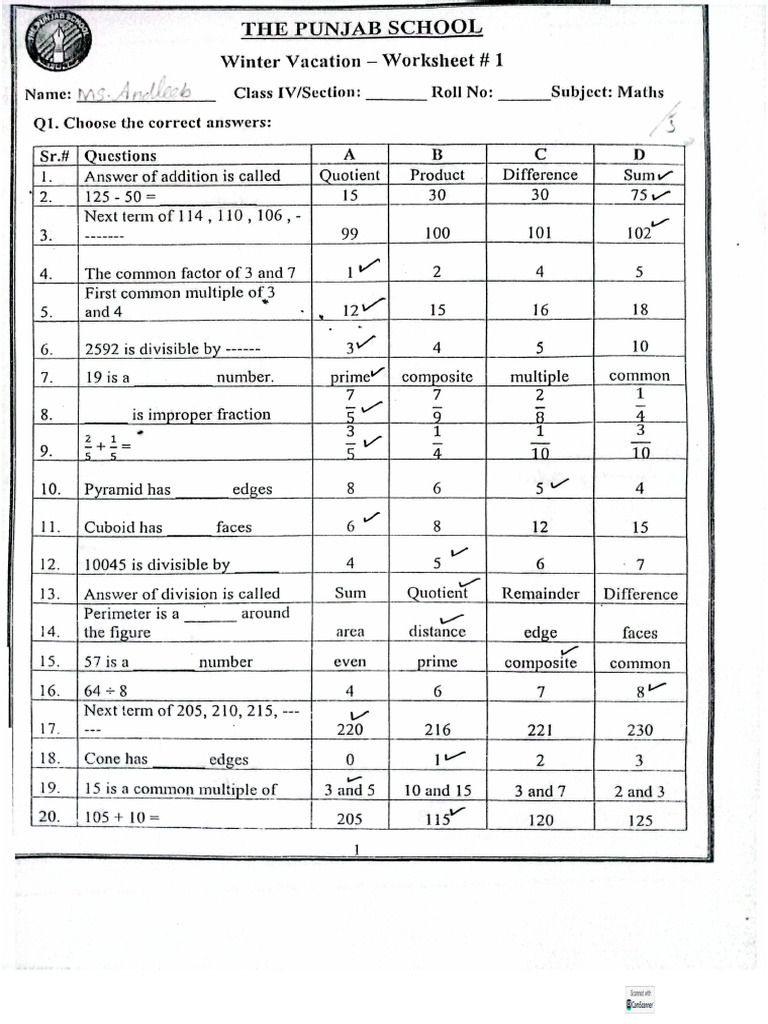class 4 Maths winter task | PDF