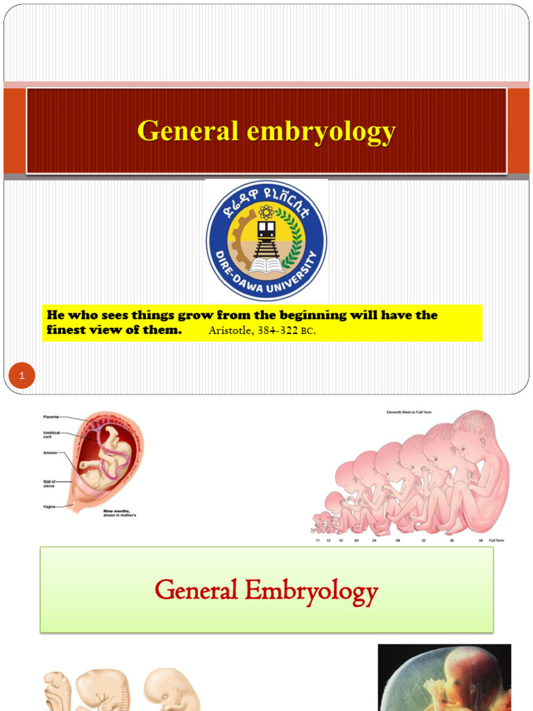 General Embryology Part 1 | PDF | Meiosis | Embryo