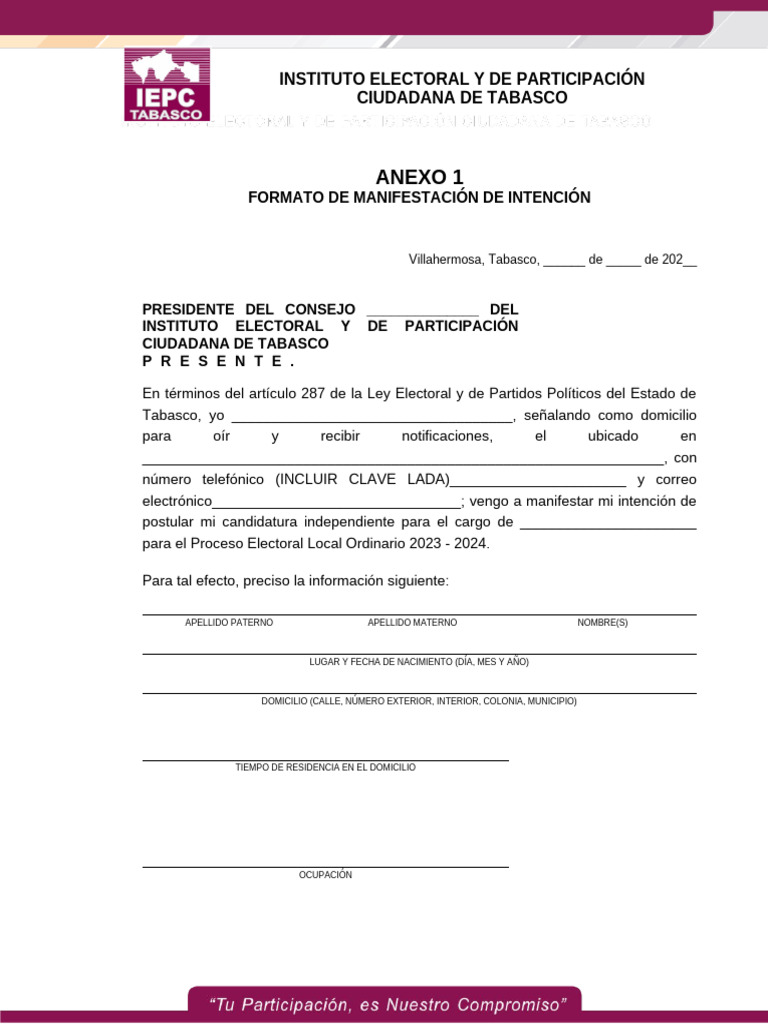 Archivo4 Anexo Ce 2023 022 Formatos | PDF | Político independiente | Sociedad de responsabilidad ...