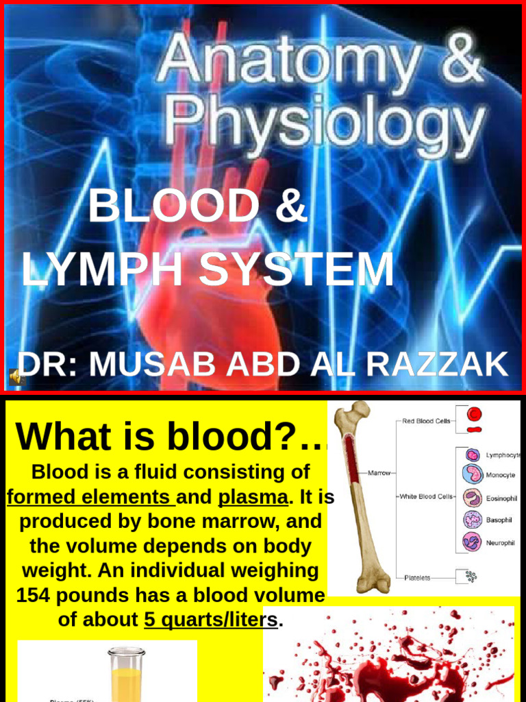 Anatomy Blood Lymphatic Systemد.مصعب | PDF | Blood Type | Lymph