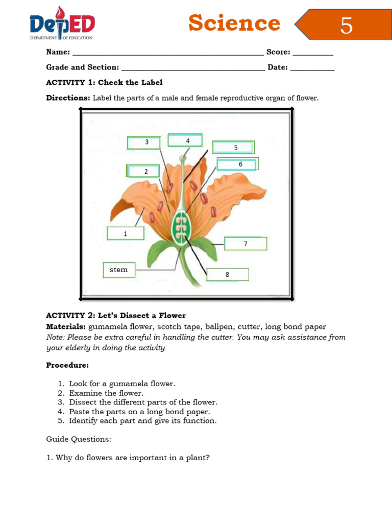 Science 5 Q2 DW10 | PDF