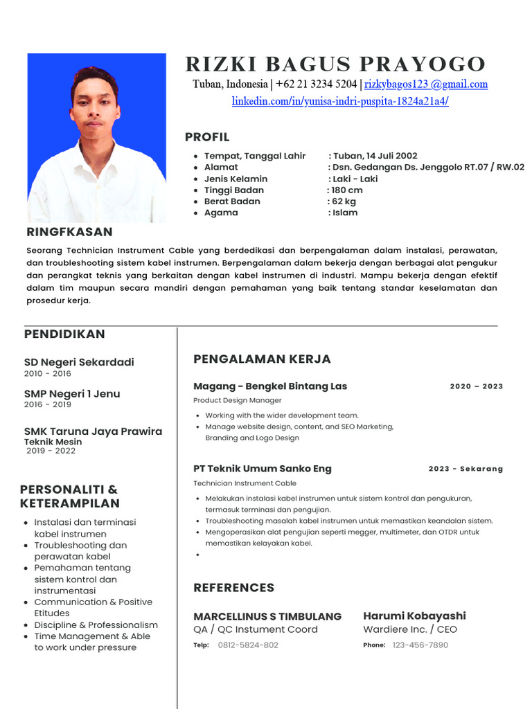 Professional Minimalist CV Resume | PDF