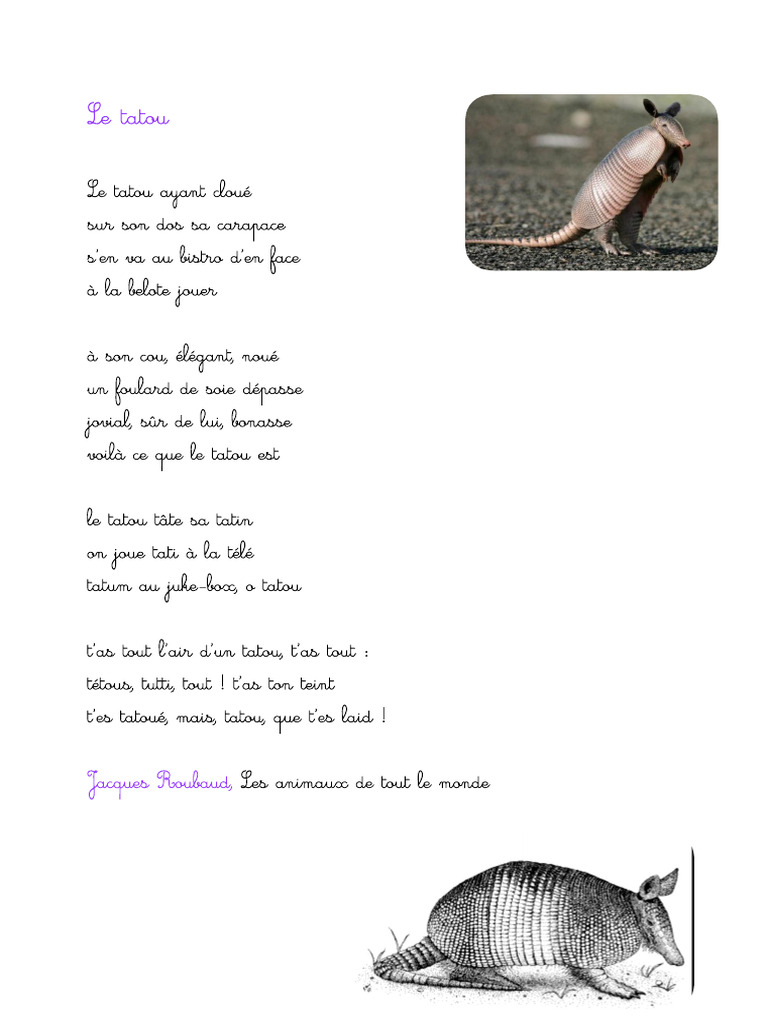 Le Tatou Doc Élève | PDF
