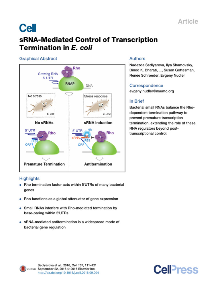 sRNA Mediated Control of Transcription Termination in E Coli - 2016 - Cell | PDF | Rna | Gene ...