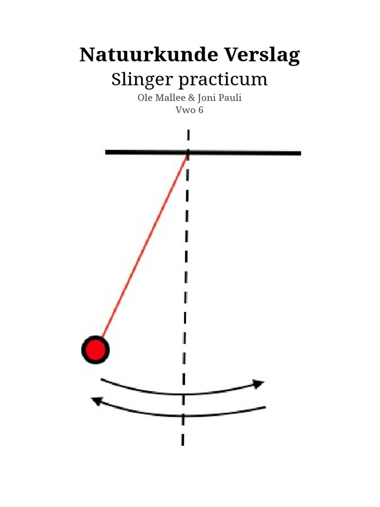 Verslag Slinger Practicum Ole & Joni | PDF