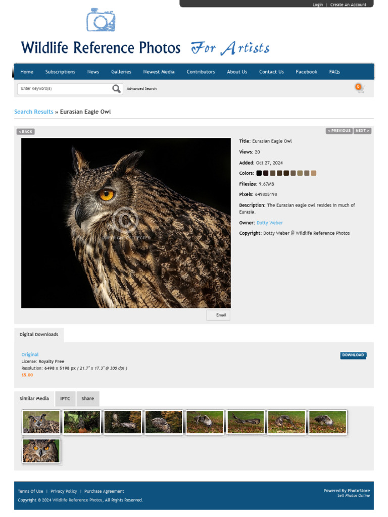 Eurasian Eagle Owl – Wildlife Reference Photos for Artists | PDF