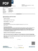 Histopathology Report (Example) | PDF | Histopathology | Pathology