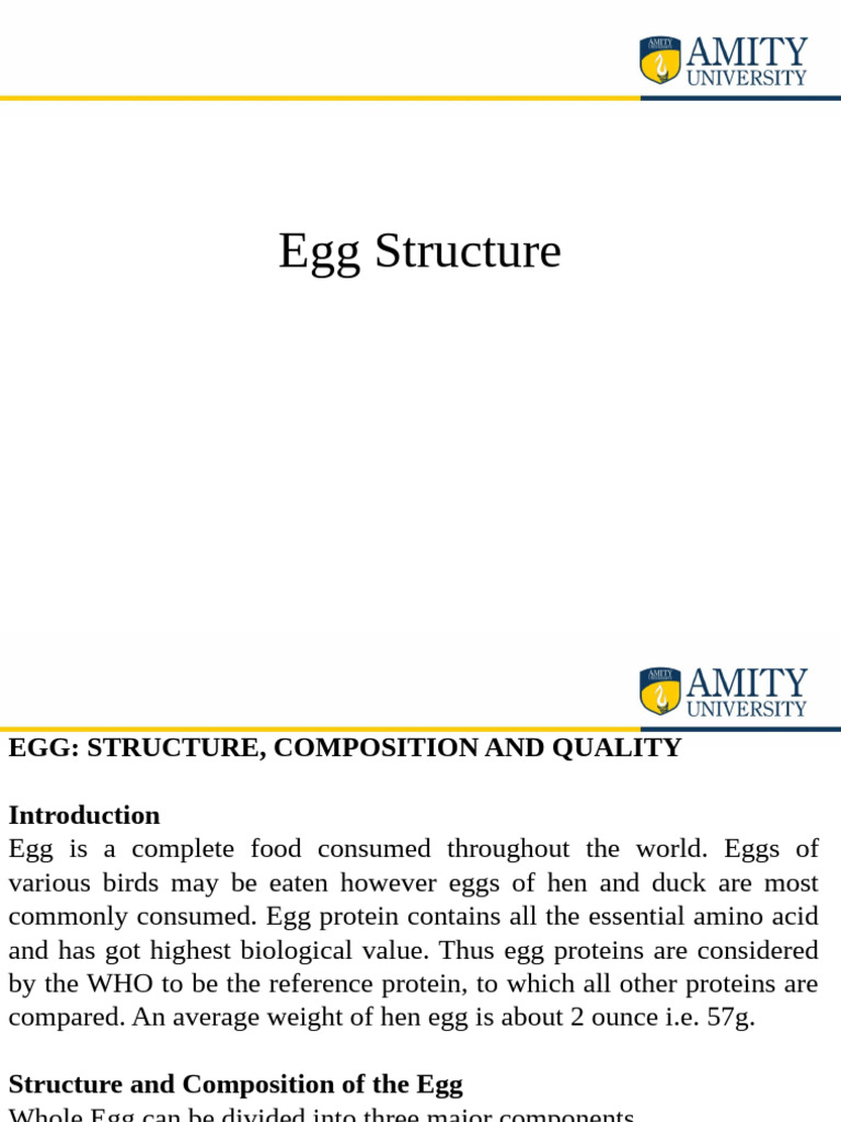 Egg Structure | PDF | Egg | Egg White