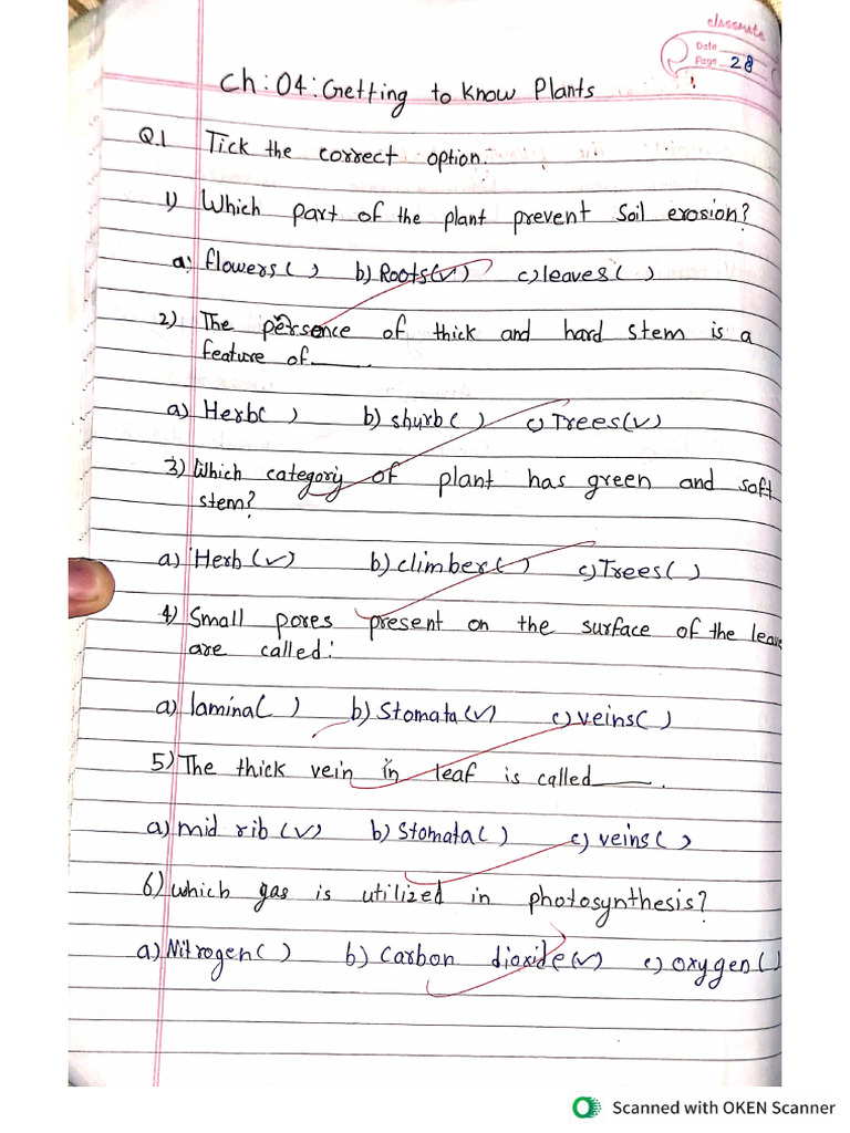 Science Ch.4 Getting to Know Plants | PDF