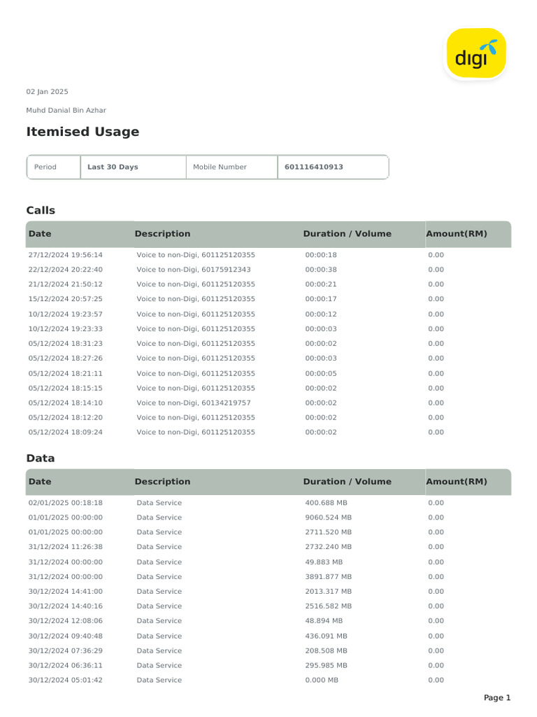 Mobile Usage Summary for January 2025 | PDF