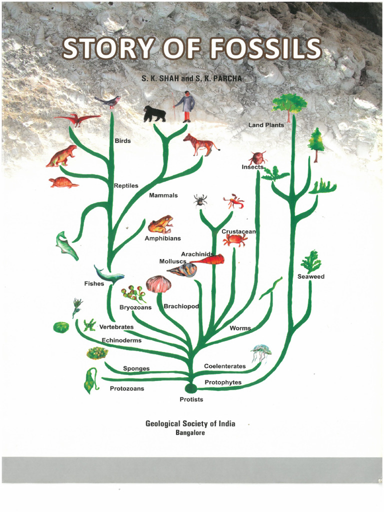Story of Fossils-1 | PDF
