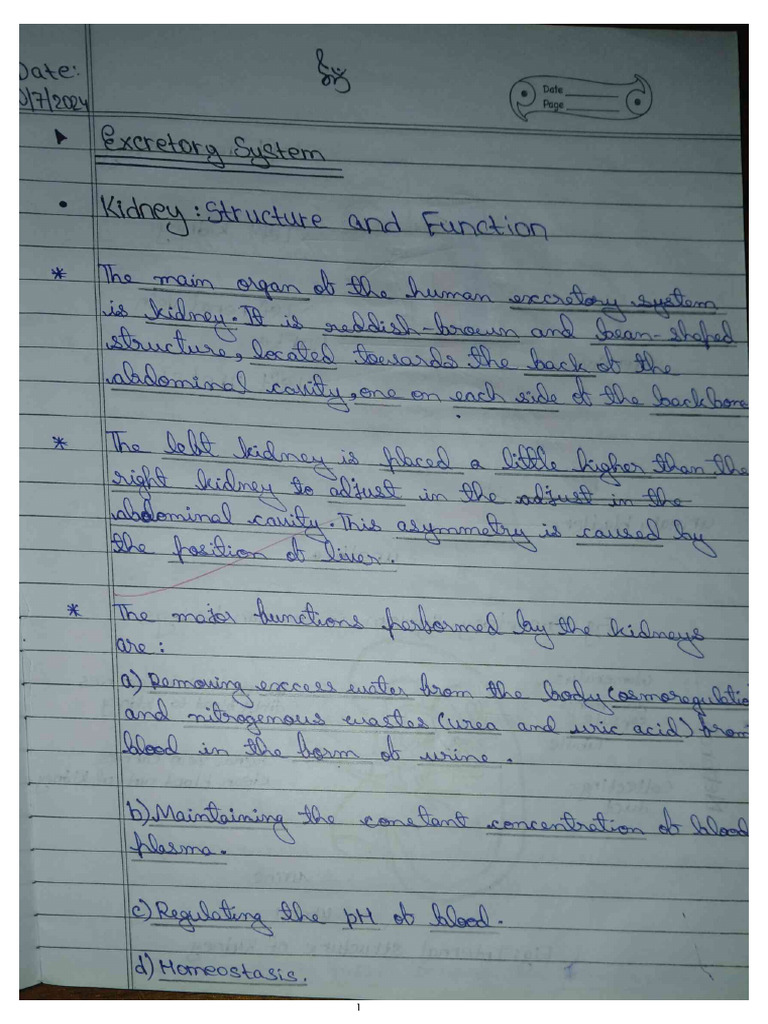 Excretory System notes | PDF