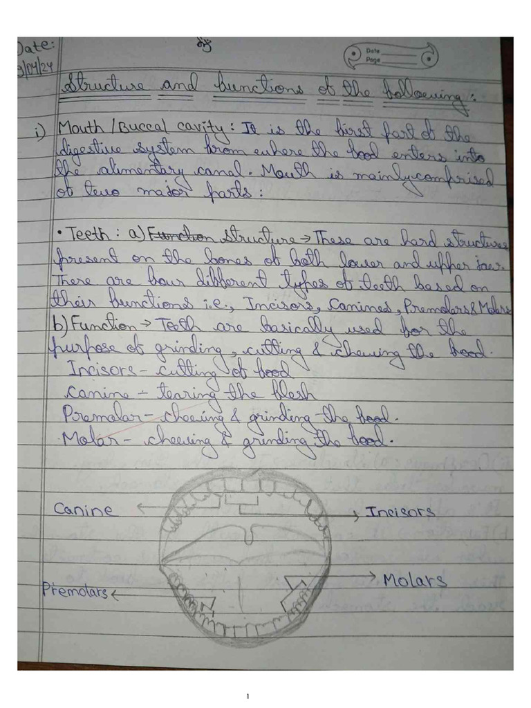 Holozoic Nutrition Notes | PDF