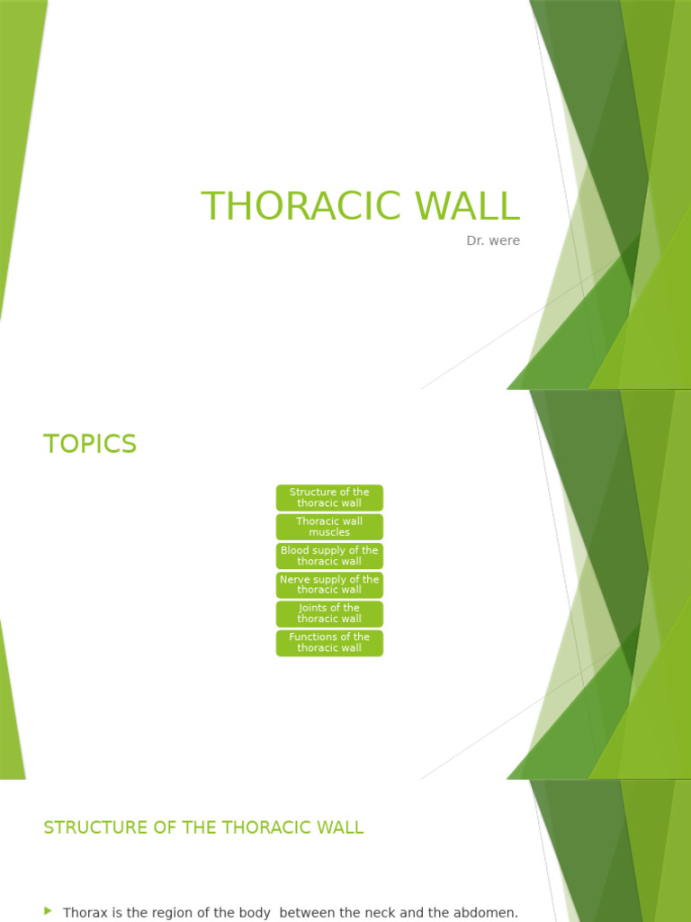 Anatomy and Functions of Thoracic Wall | PDF | Thorax | Musculoskeletal ...