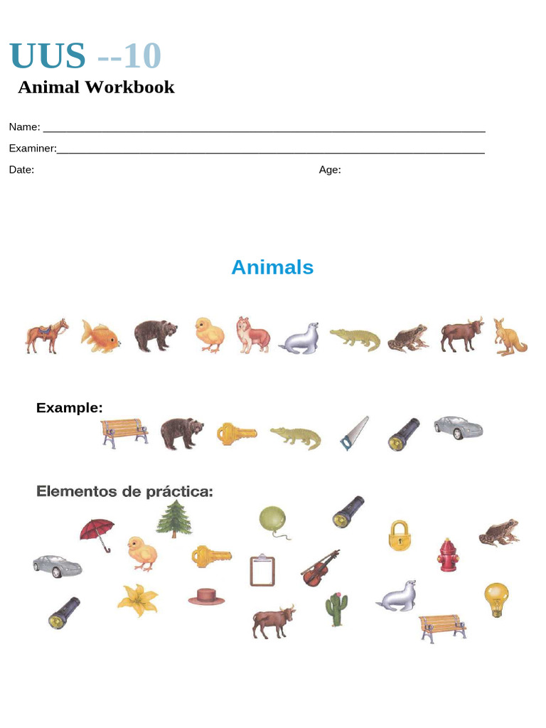 Animal Workbook for Assessments | PDF