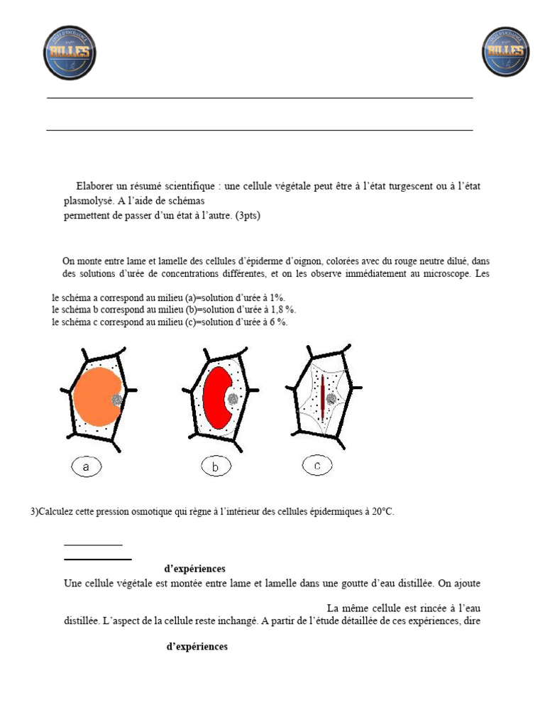 Pression osmotique et turgescence cellulaire | PDF | Osmose | Cellule ...