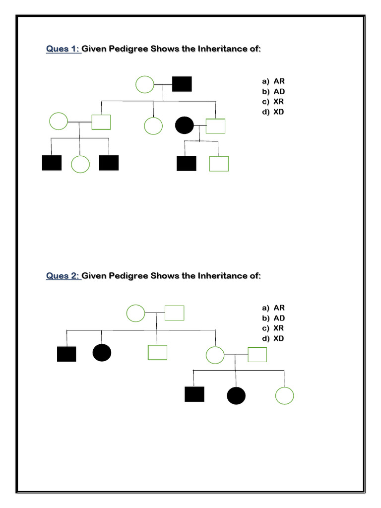 Pedigree Analysis 30 36 | PDF